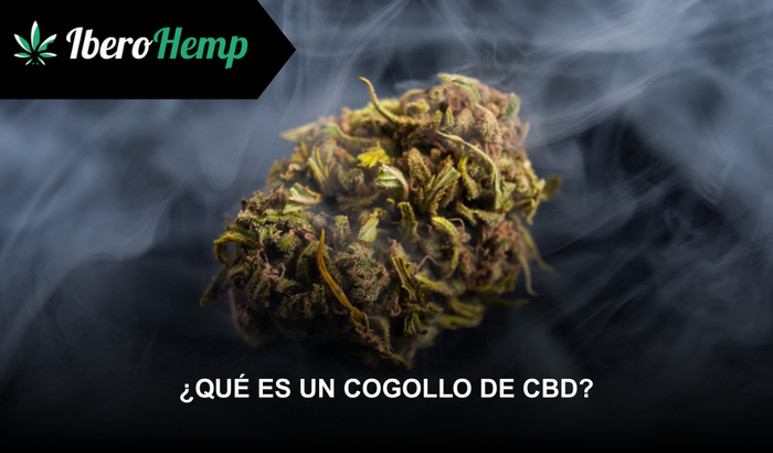 Qué es un cogollo de CBD y cómo identificar sus tipos